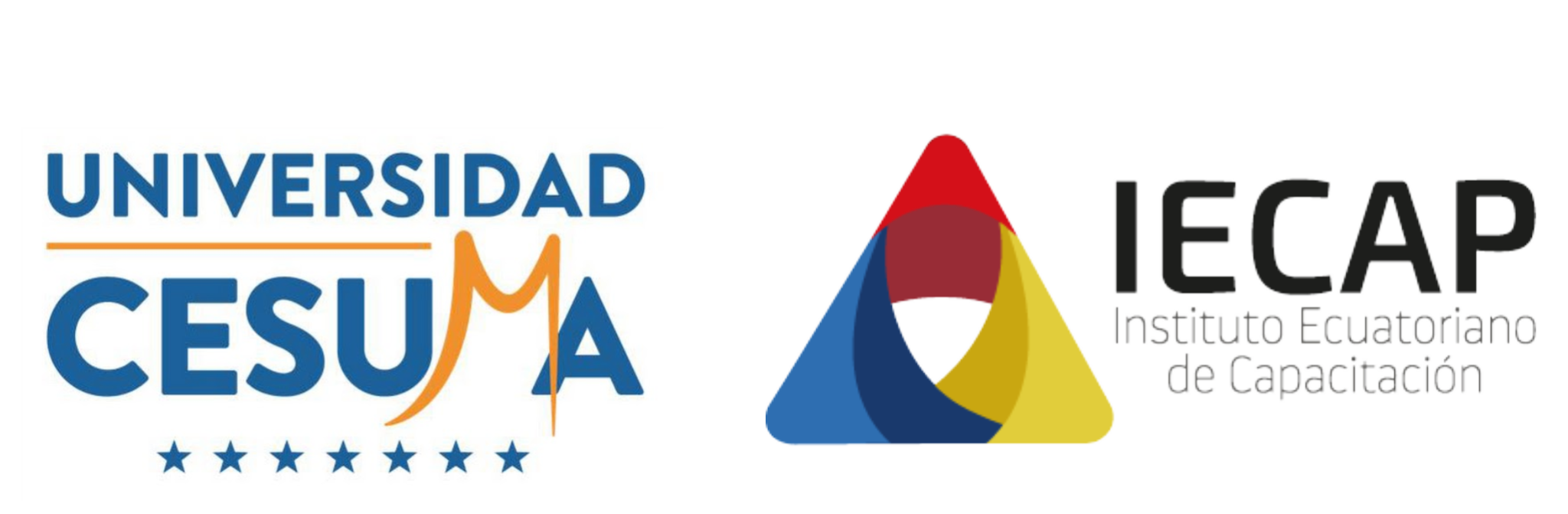 Certificación Profesional en Gestión de Proyectos | IECAP